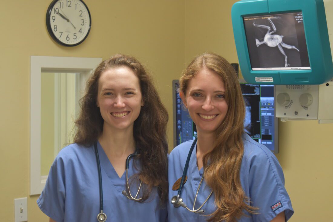 CROW welcomes new interns - SANIBEL-CAPTIVA - Island Reporter, Islander ...